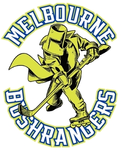 Stadium 34 Hockey - In-House Leagues Stadium34 Hockey League Summer 24 ...