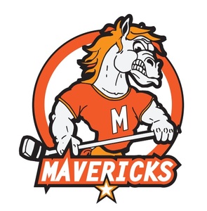 North Vikings Inline Hockey Club - Winter Season Division 4 Winter 2025 ...