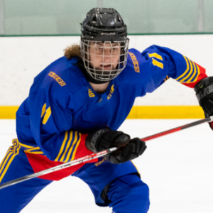 IceHQ - Rec League Division 1 Winter 2025 Dark Knights