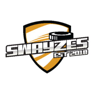 IceHQ - Rec League Division 6 Winter 2025 Swayzes